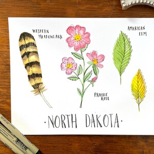 North Dakota State Flower State Tree State Bird Art Print Botanical ...