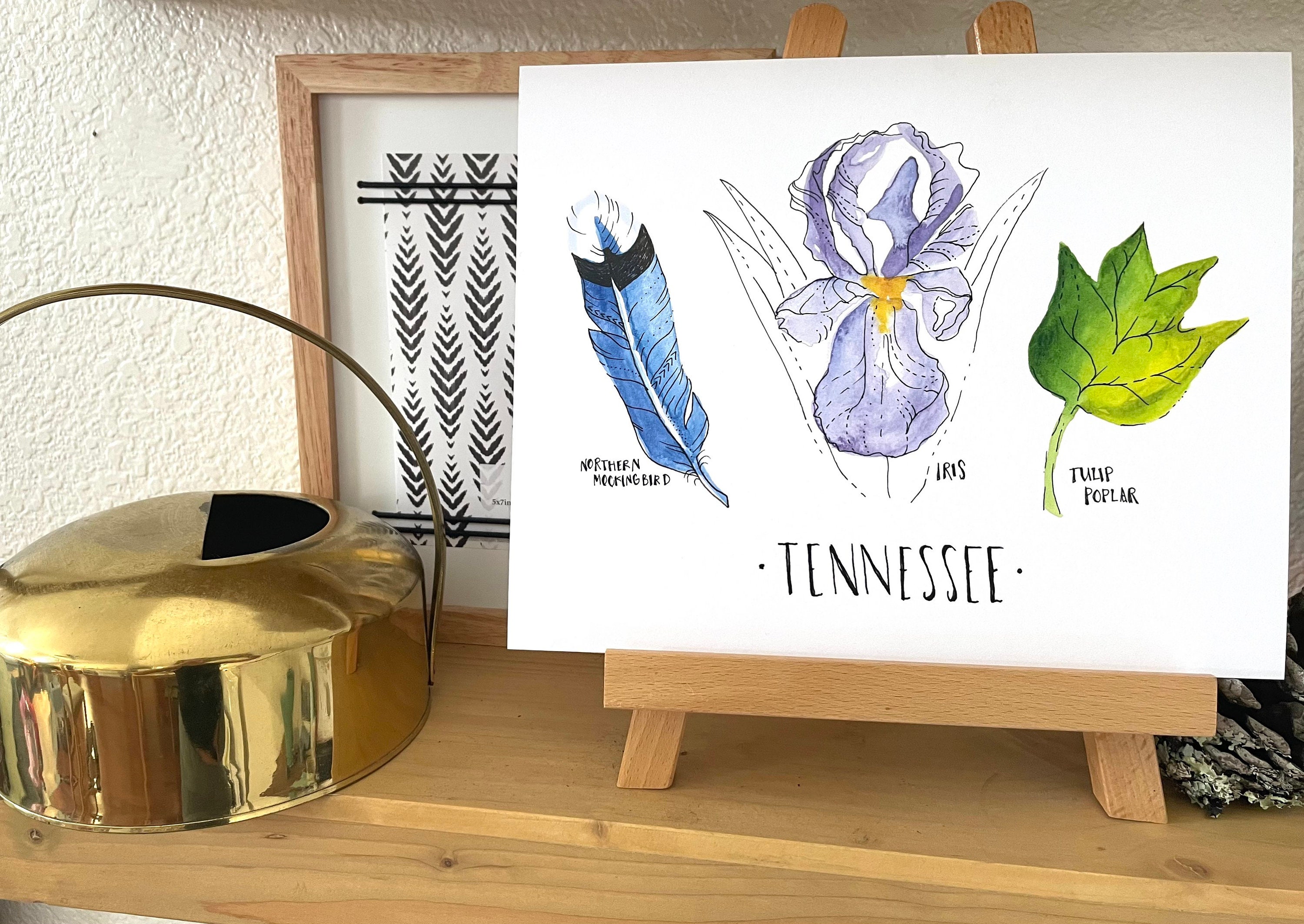 Tennessee State Flower, Bird, and Tree Print Watercolor Wall Art Print ...