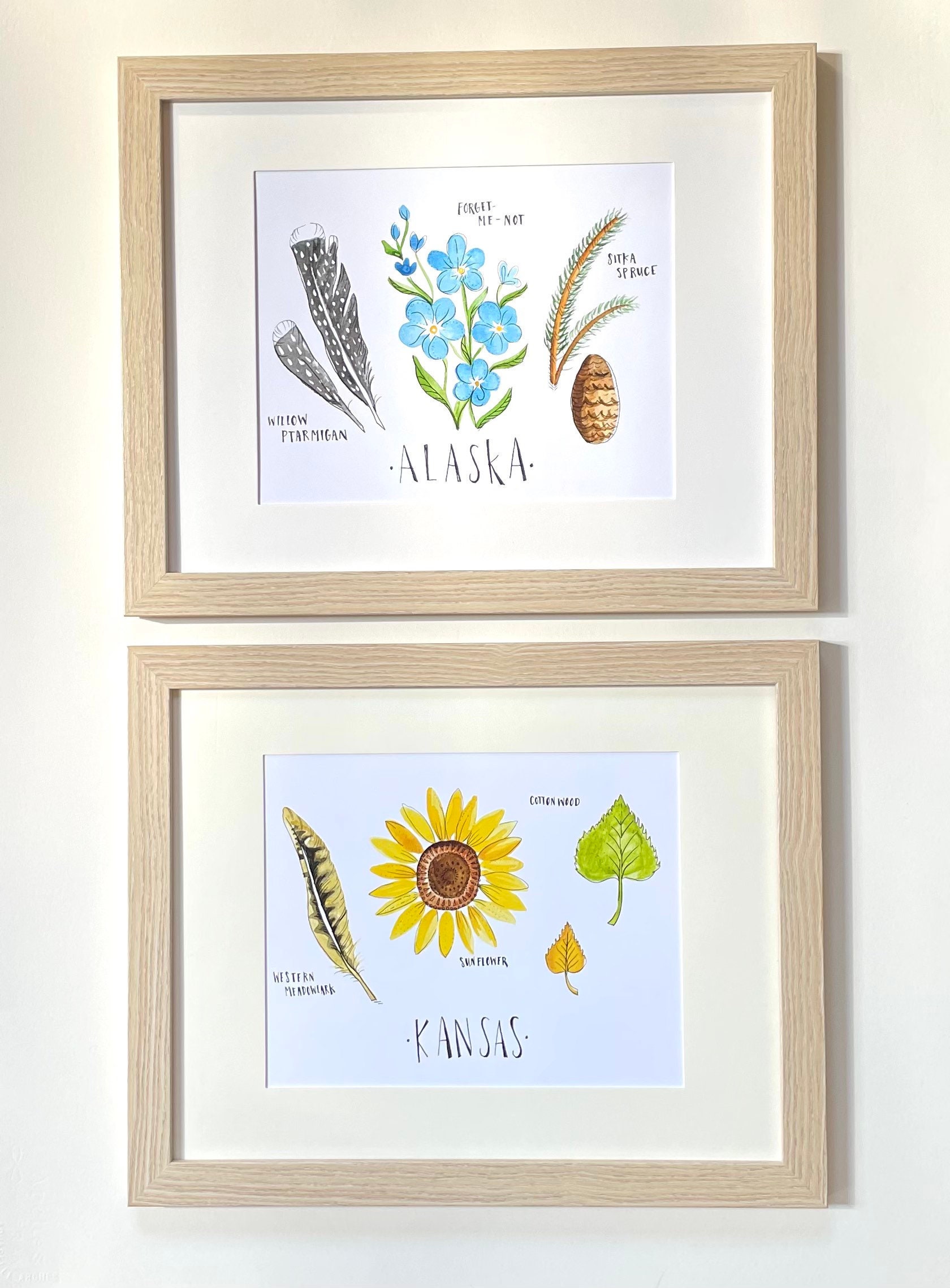 Kansas State Flower State Bird State Tree Watercolor | Etsy