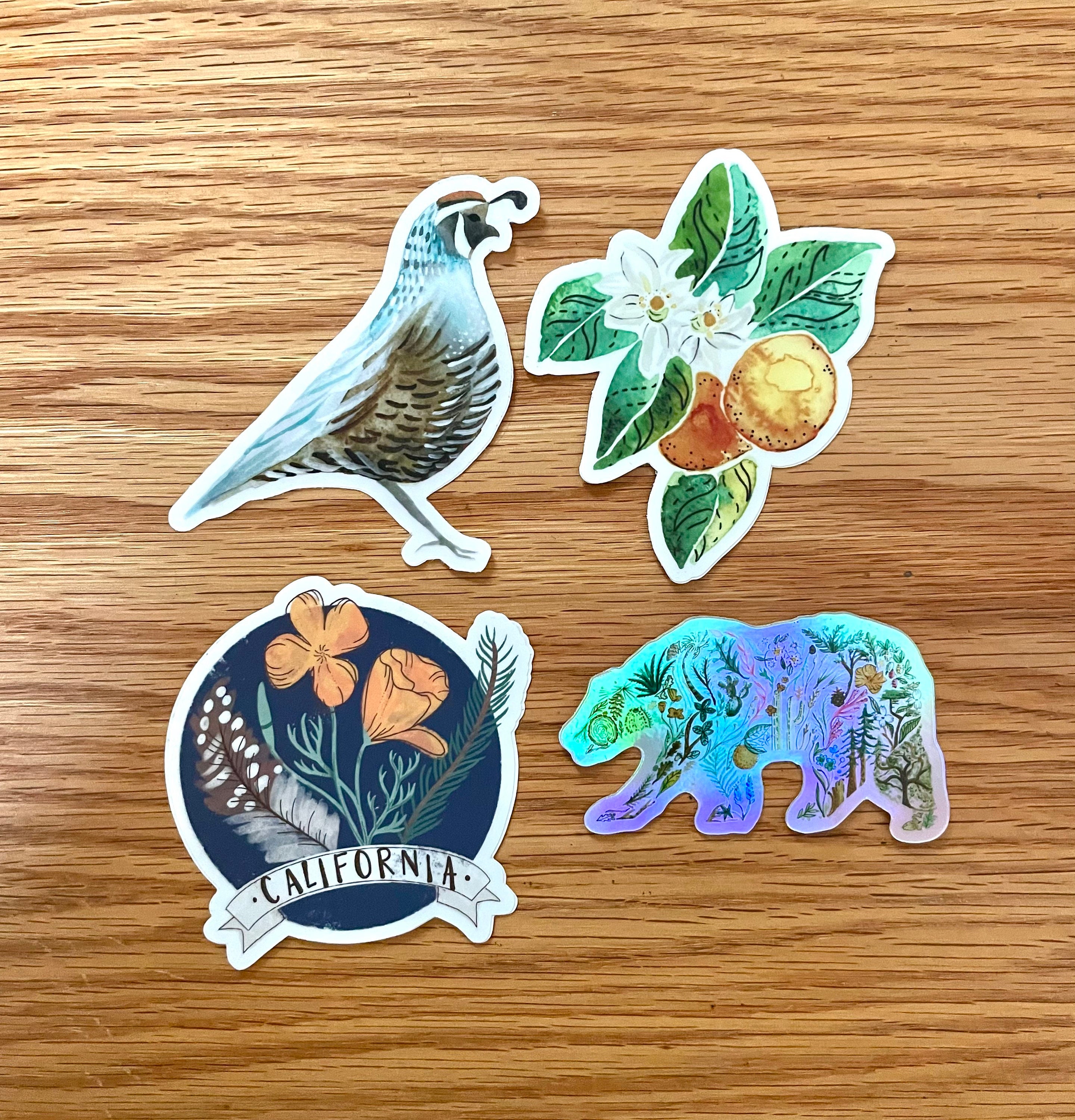 California Sticker Pack of 4 Stickers California Bear | Etsy