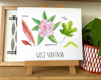 Virginia State Flower State Bird State Tree Art Dogwood | Etsy