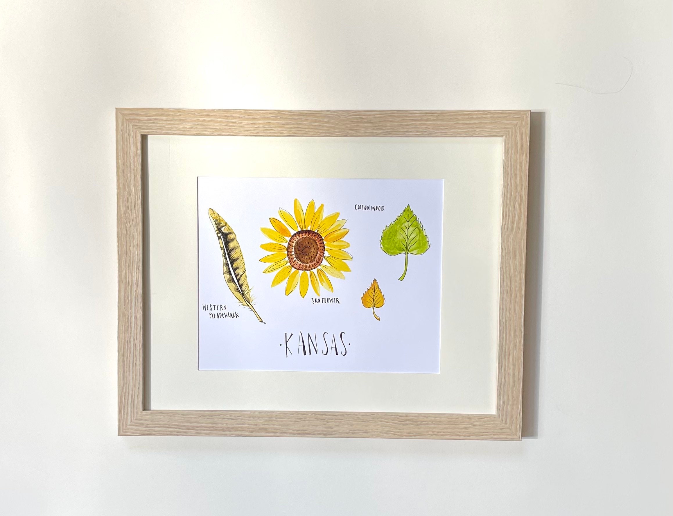 Kansas State Flower State Bird State Tree Watercolor | Etsy