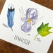 Tennessee State Flower, Bird, and Tree Print Watercolor Wall Art Print ...
