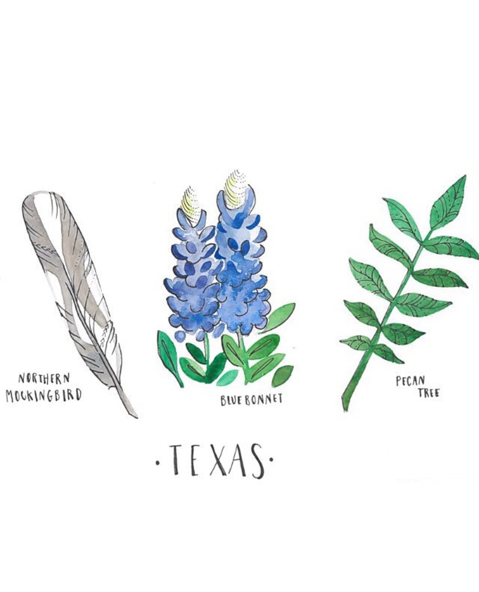 Texas State Bird Flower and Tree Print state flower state - Etsy België