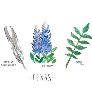 Texas State Bird, Flower, and Tree Print State Flower State Tree State ...