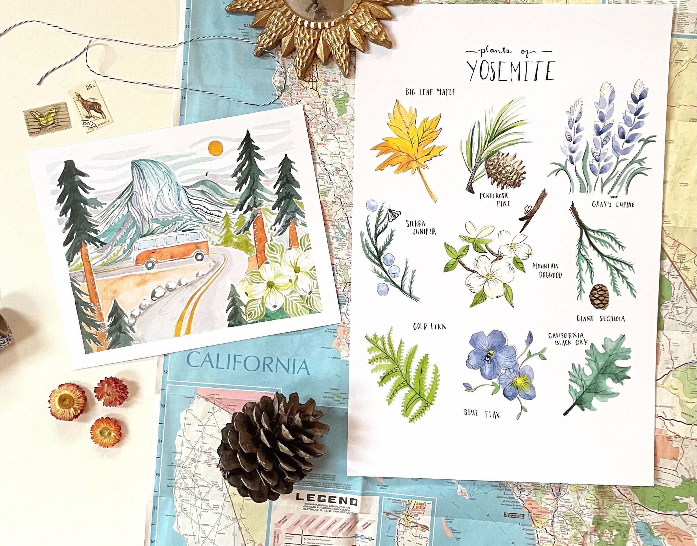 Yosemite National Park Plants Art Watercolor Poster 11x17 Art Print ...