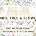 California Art Print State Flower State Bird State Tree - Etsy