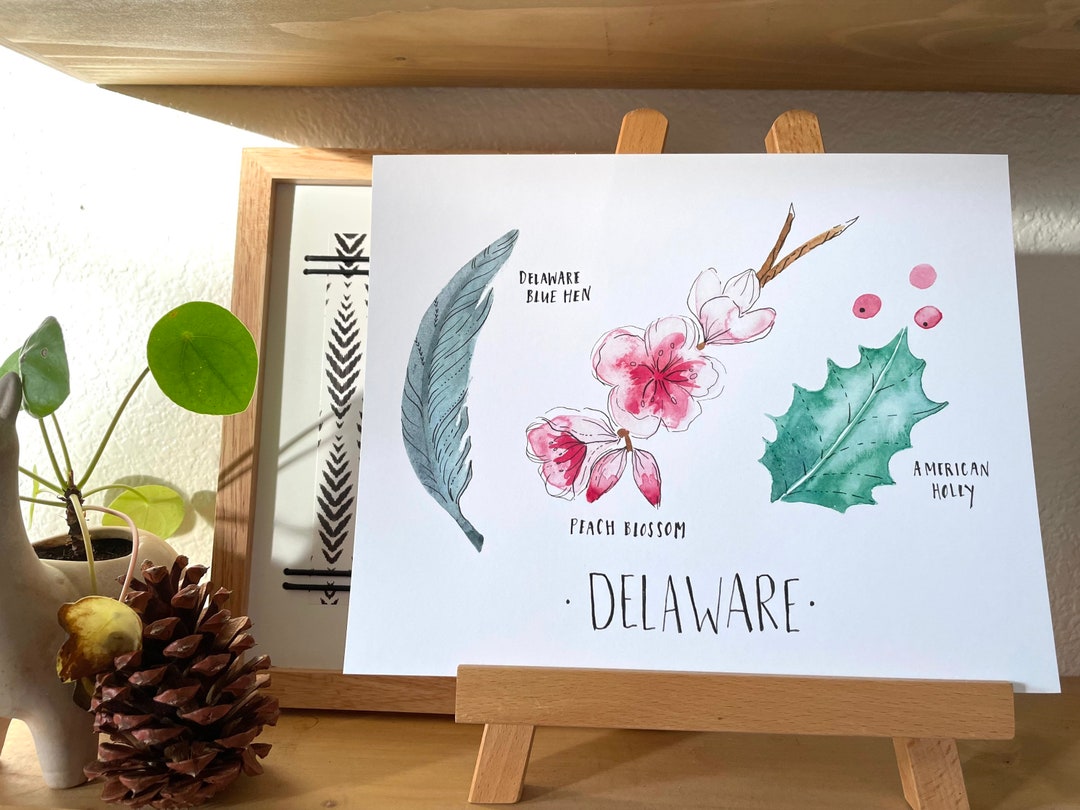 Delaware State Flower State Bird State Tree Art Print Delaware Art ...