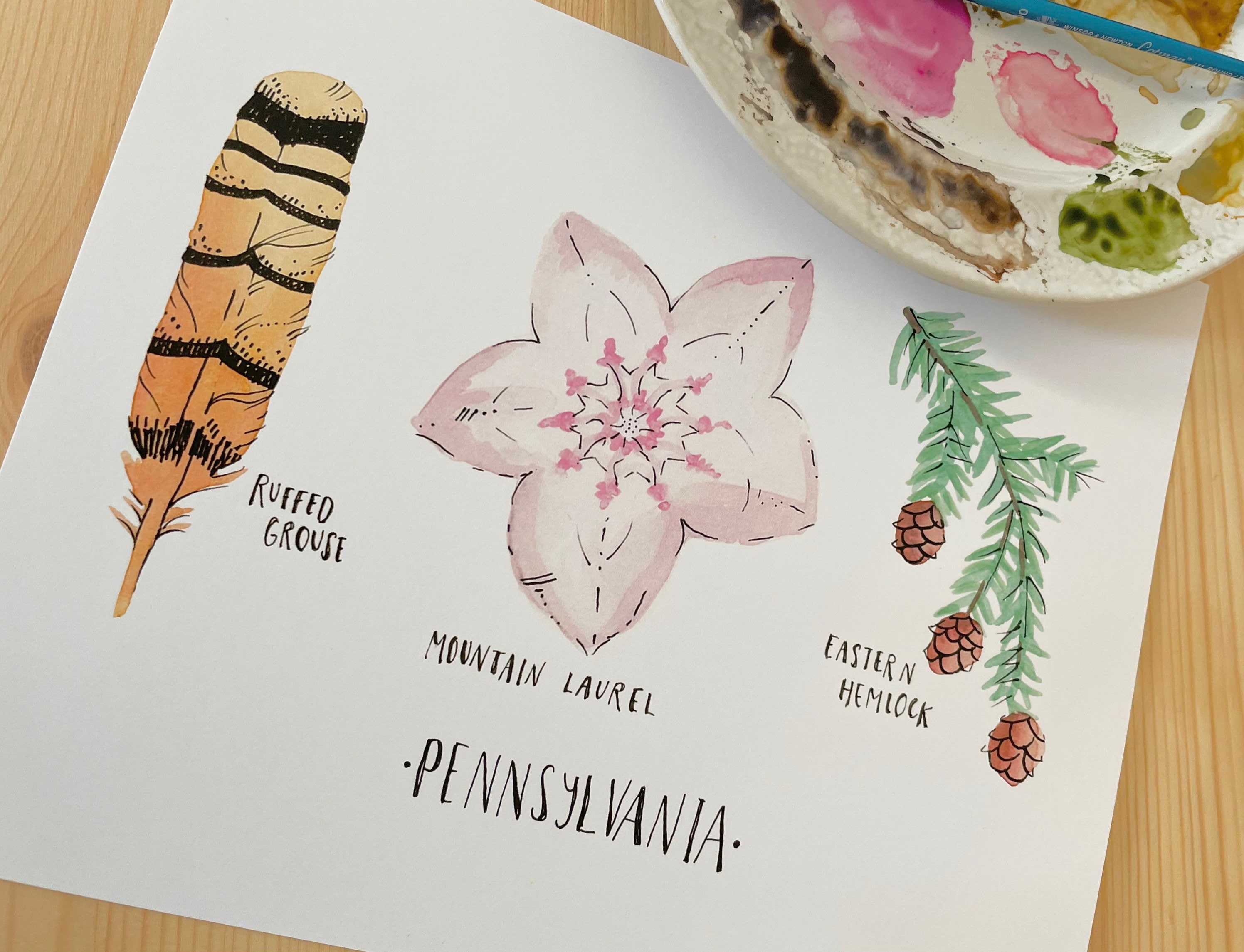 Pennsylvania State Tree, Flower, Bird Art Print State Flower State Bird ...