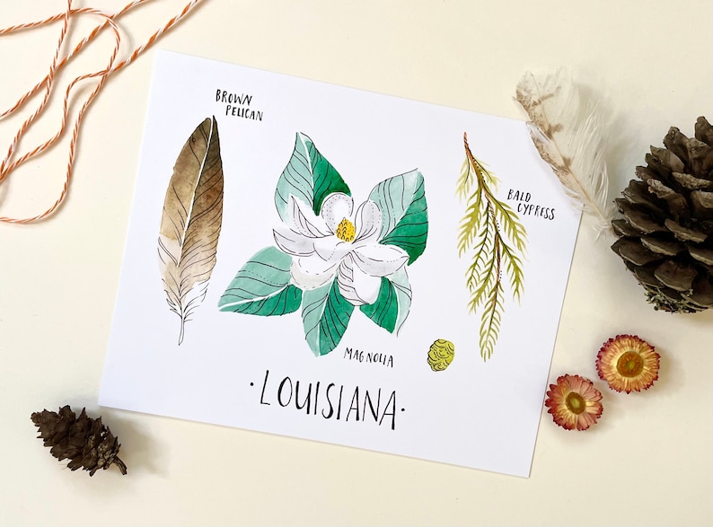 State Flower Art Print All 50 States State Flower State Bird - Etsy