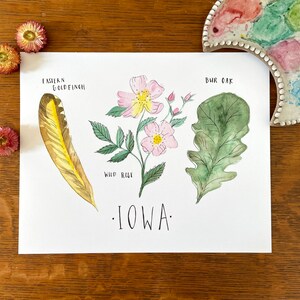 Iowa State Bird State Tree State Flower Wild Rose Burl Oak Watercolor ...
