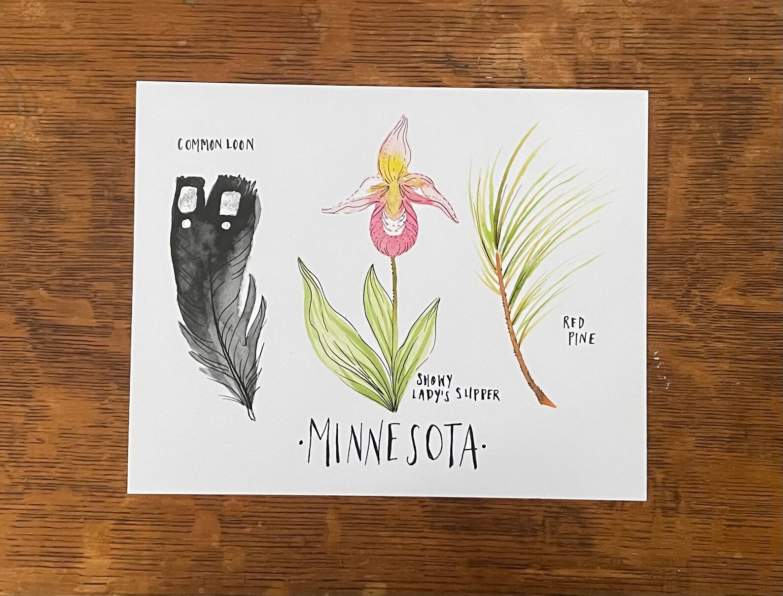 Minnesota State Flower State Bird State Tree Lady’s Slipper Red Pine ...