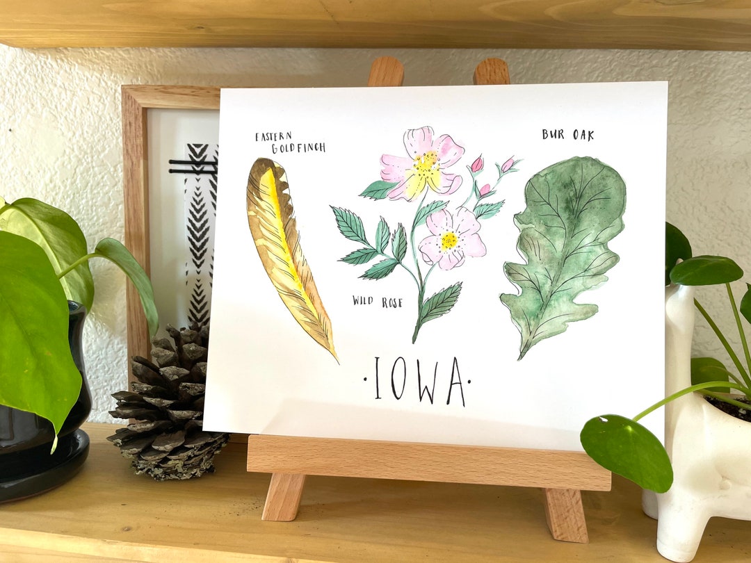 Iowa State Bird State Tree State Flower Wild Rose Burl Oak Watercolor ...