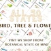 Colorado State Tree, Flower, Bird Art Print Botanical Watercolor Art ...