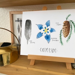 Colorado State Tree, Flower, Bird Art Print Botanical Watercolor Art ...