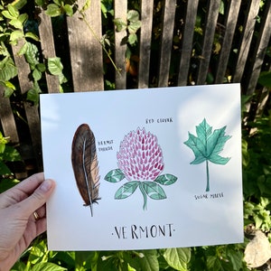 Vermont State Flower State Bird State Tree Watercolor Art Print ...