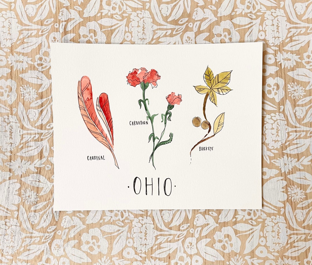Ohio State Bird Ohio State Tree Ohio State Flower Art Print Watercolor ...
