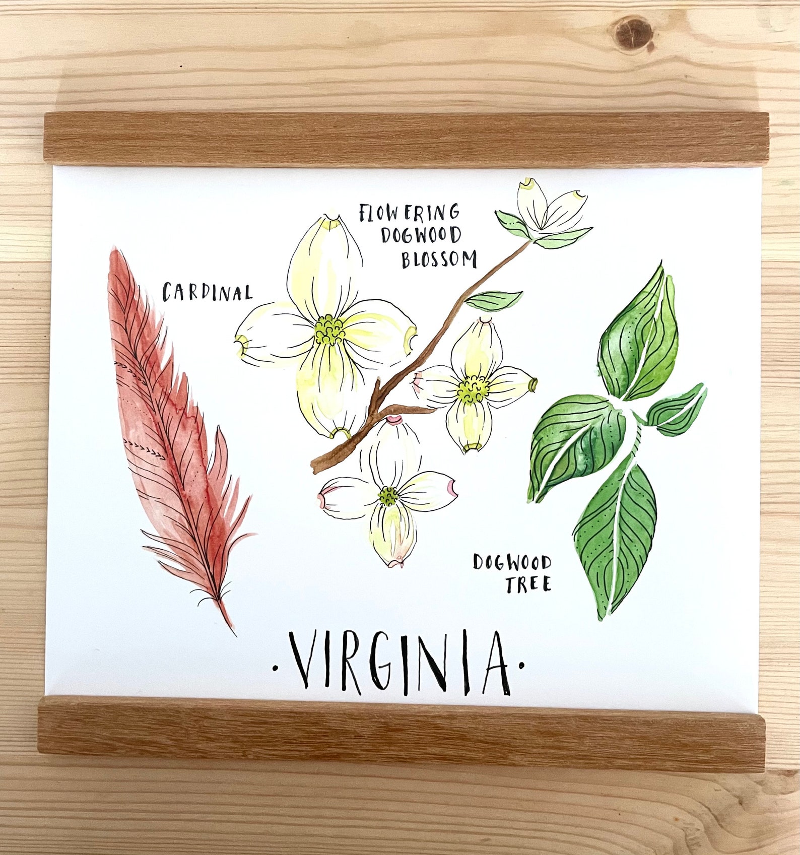 Virginia State Flower State Bird State Tree Art Dogwood - Etsy