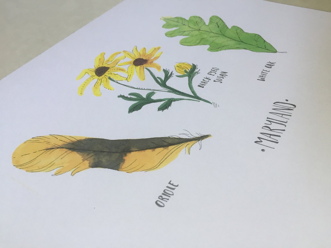 Maryland State Tree, Flower, Bird Art Print Botanical Watercolor State ...