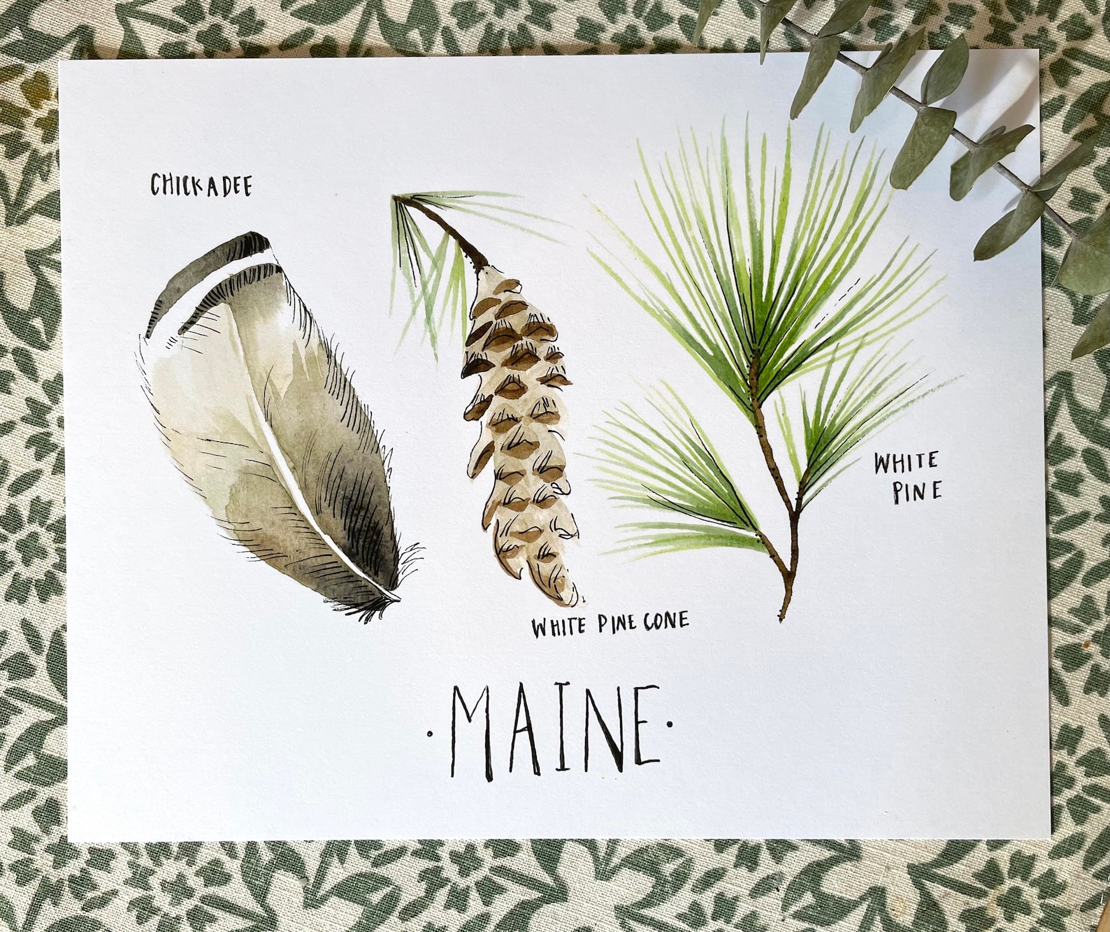 Maine State Flower State Tree State Bird Botanical Maine Art State ...