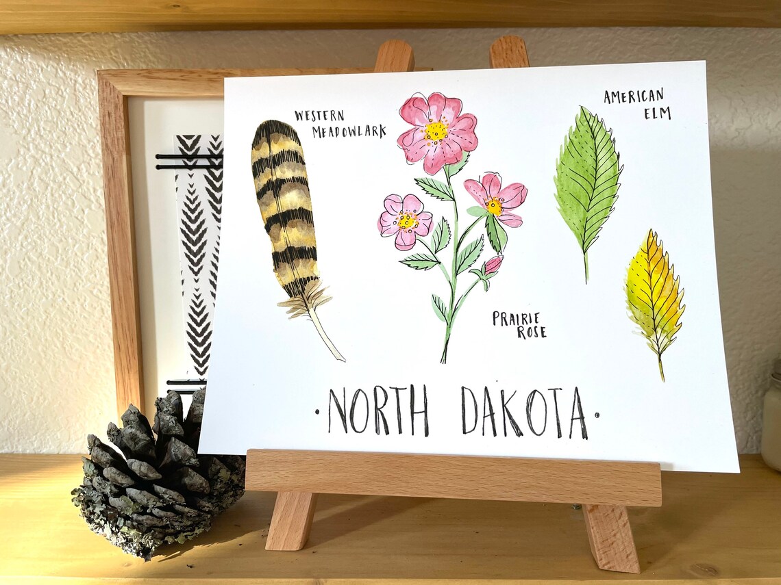 North Dakota State Flower State Tree State Bird Art Print - Etsy