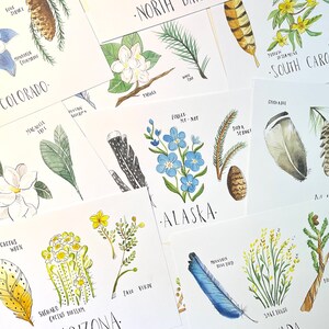 Ohio State Bird Ohio State Tree Ohio State Flower Art Print Watercolor ...