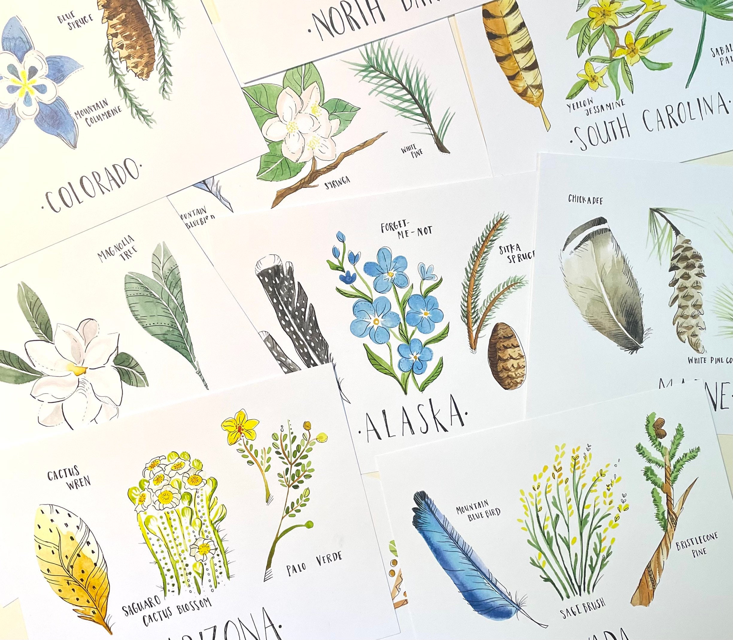 Ohio State Bird Ohio State Tree Ohio State Flower Art Print - Etsy