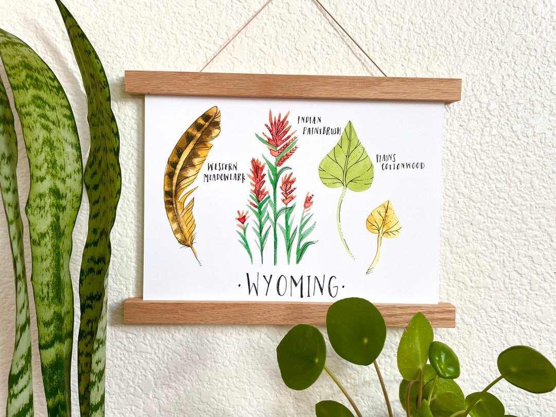Wyoming State Flower State Tree State Bird Art Print Botanical ...