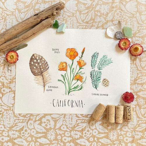 California State Bird Art Print Cal Valley Quail and | Etsy