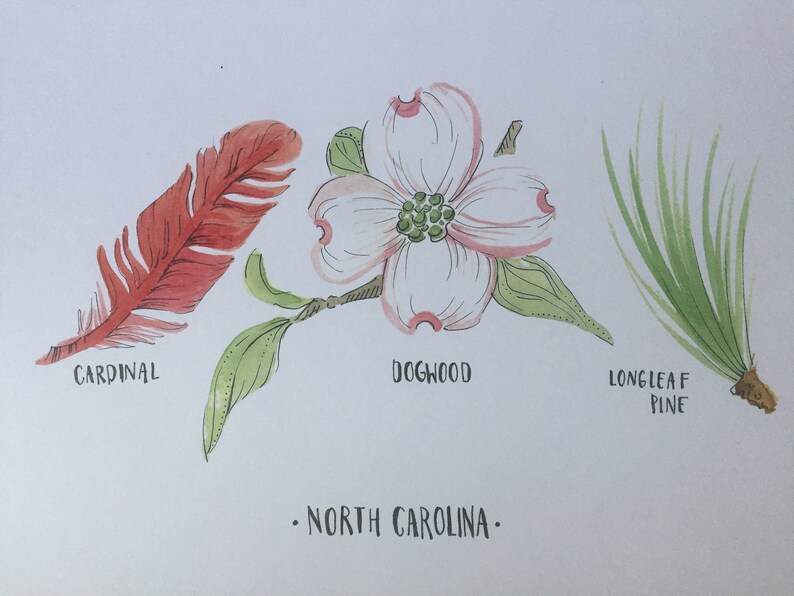 North Carolina State Tree Flower Bird Art Print State | Etsy