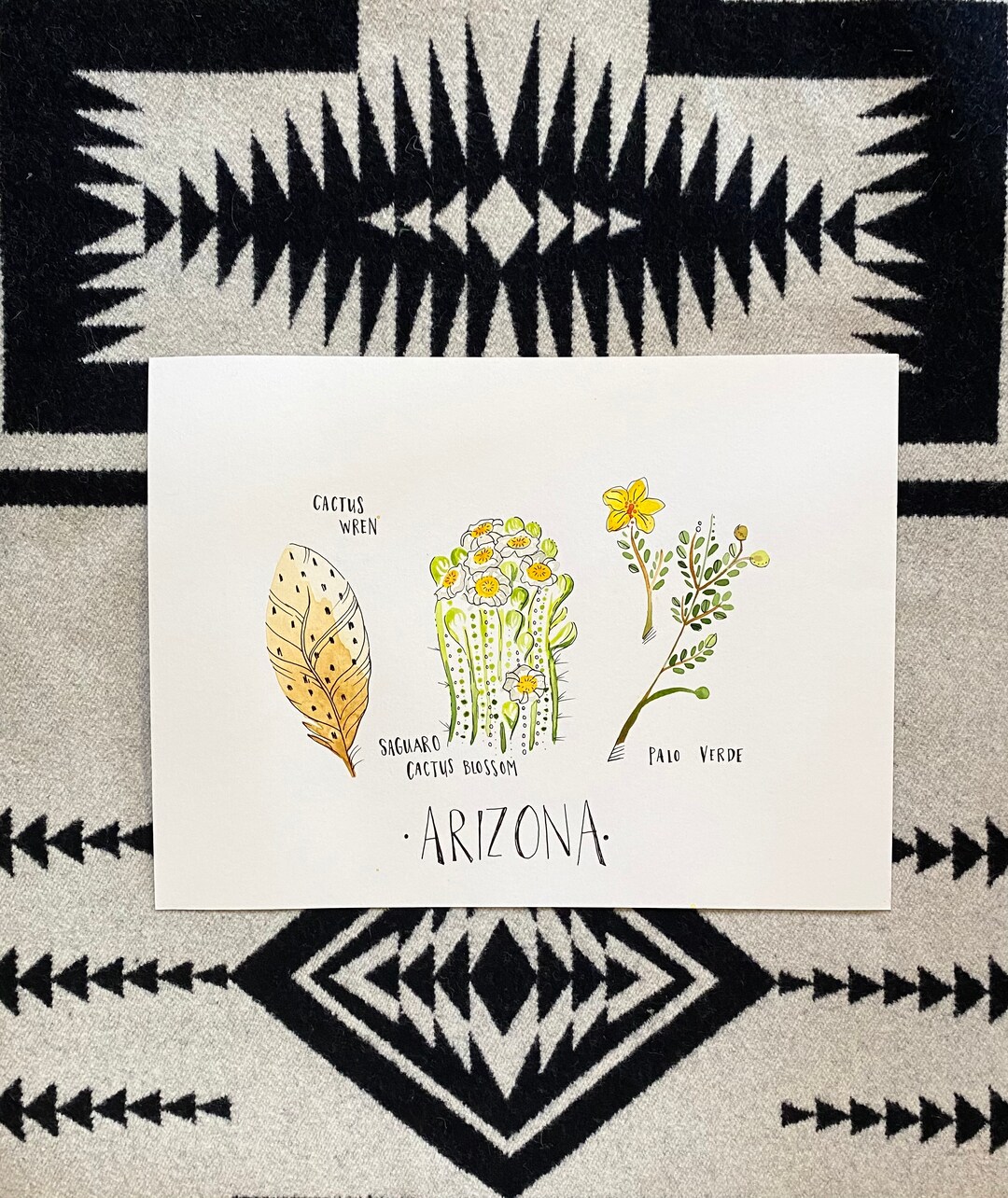 Arizona State Bird State Flower State Tree Art Print 8x10 Watercolor ...