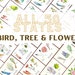 State Flower Art Print All 50 States State Flower State Bird State Tree ...