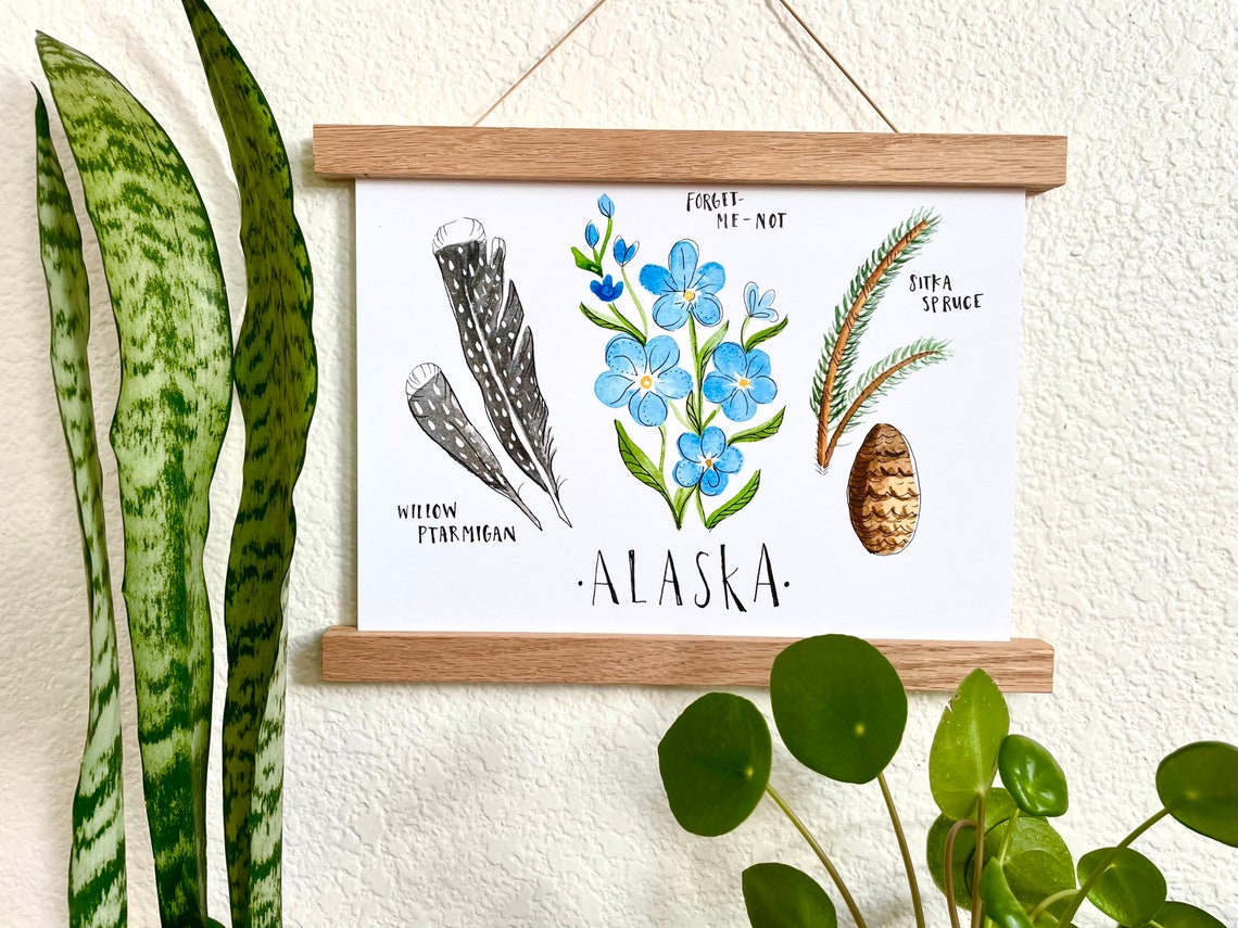 Alaska State Flower State Bird State Tree Alaska State Art Watercolor ...