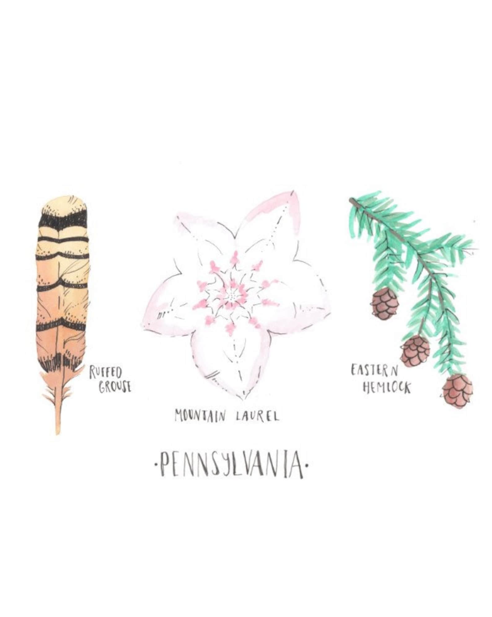 Pennsylvania State Tree, Flower, Bird Art Print State Flower State Bird ...