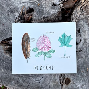 Vermont State Flower State Bird State Tree Watercolor Art Print ...