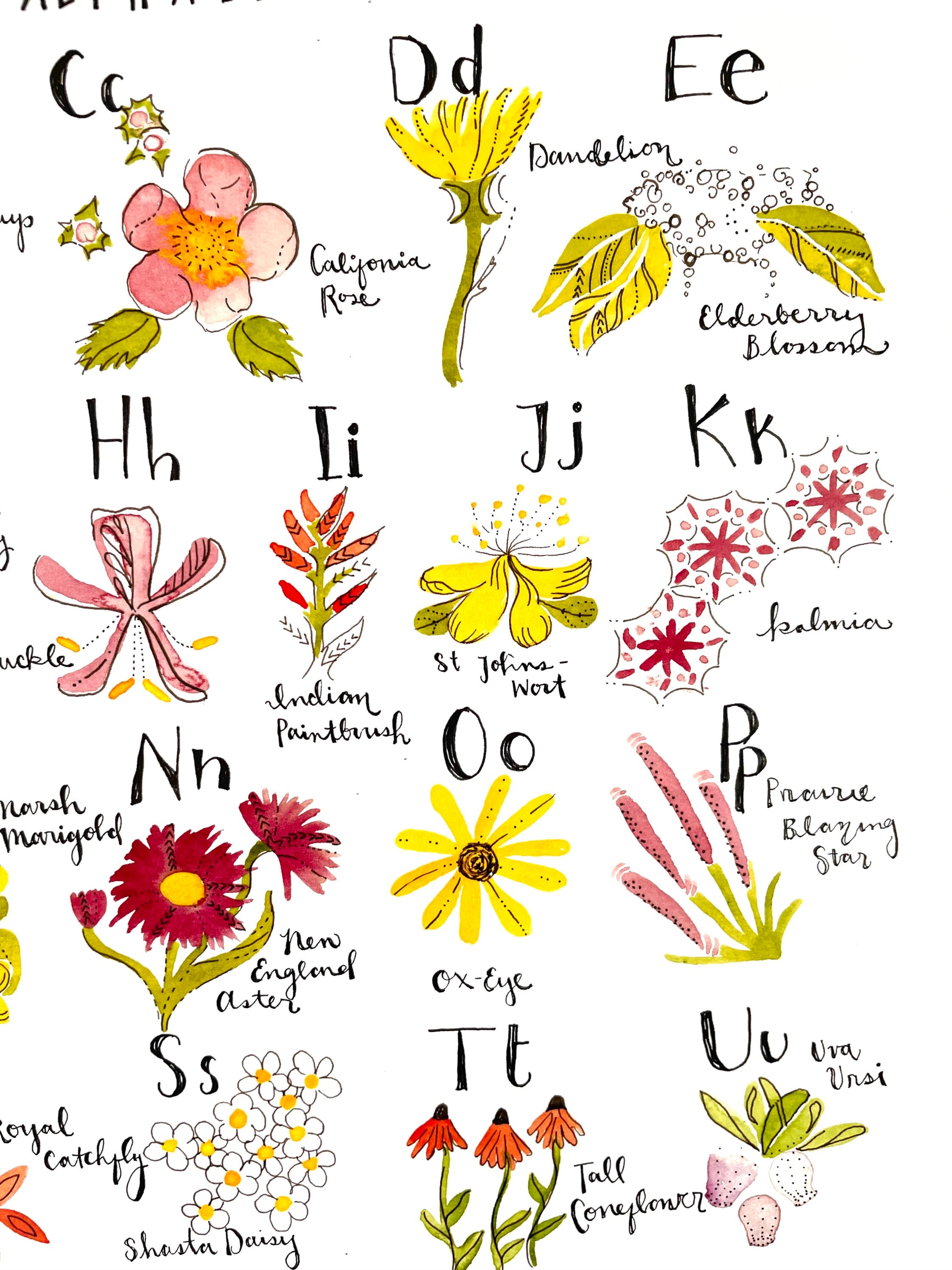 Wildflower Print Alphabet A-Z Poster Botanical Watercolor Nature Art ...