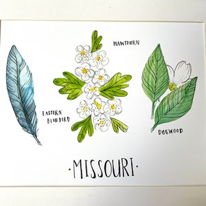 Missouri State Flower State Bird State Tree Art Print Missouri Art ...