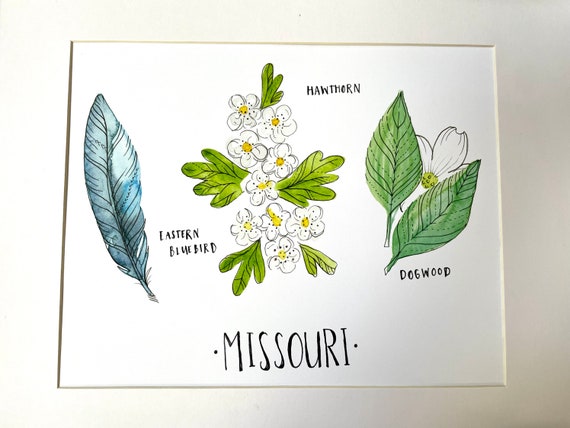 Missouri State Flower