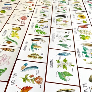 State Flower Art Print All 50 States State Flower State Bird State Tree ...