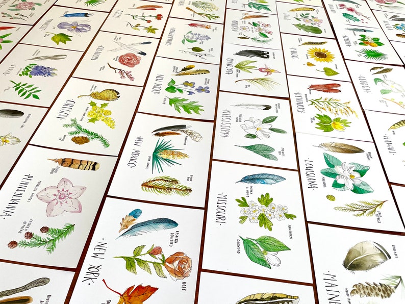 State Flower Art Print All 50 States State Flower State Bird - Etsy