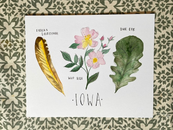 Iowa Flower And Bird