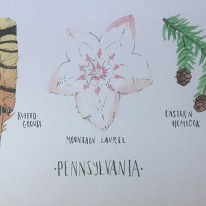 Pennsylvania State Tree, Flower, Bird Art Print State Flower State Bird ...