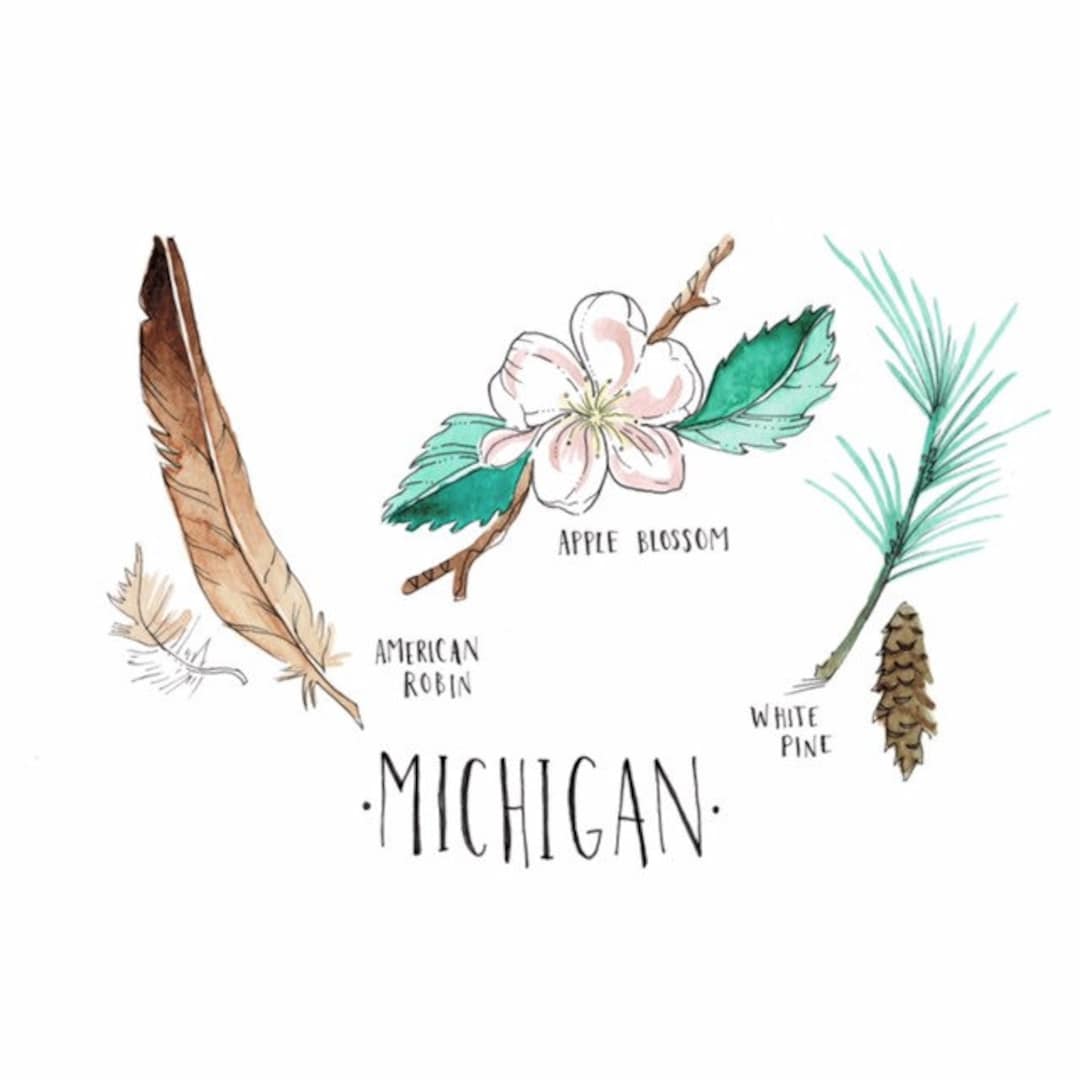 Michigan State Tree, State Flower, State Bird Watercolor Art Print ...