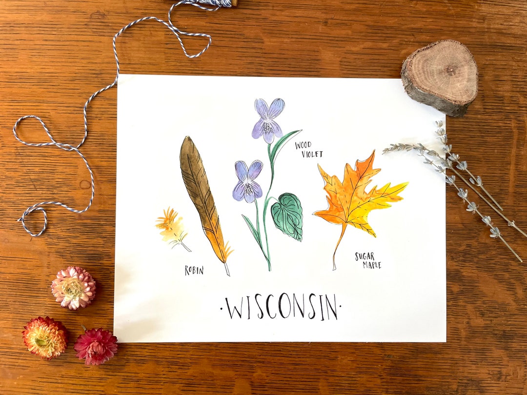 Wisconsin State Flower State Bird State Tree Art Print Watercolor ...