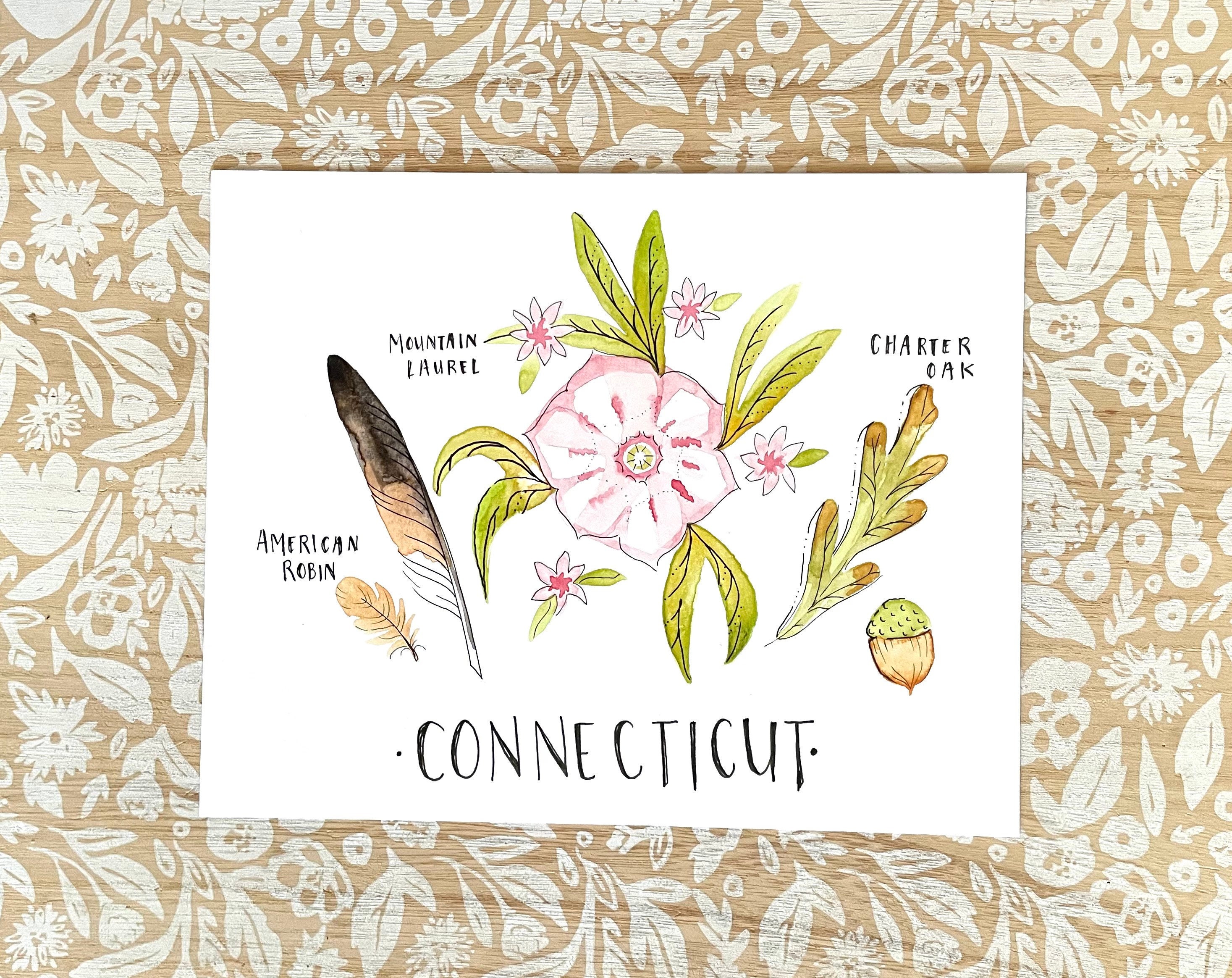 Connecticut State Flower State Bird State Tree Botanical | Etsy