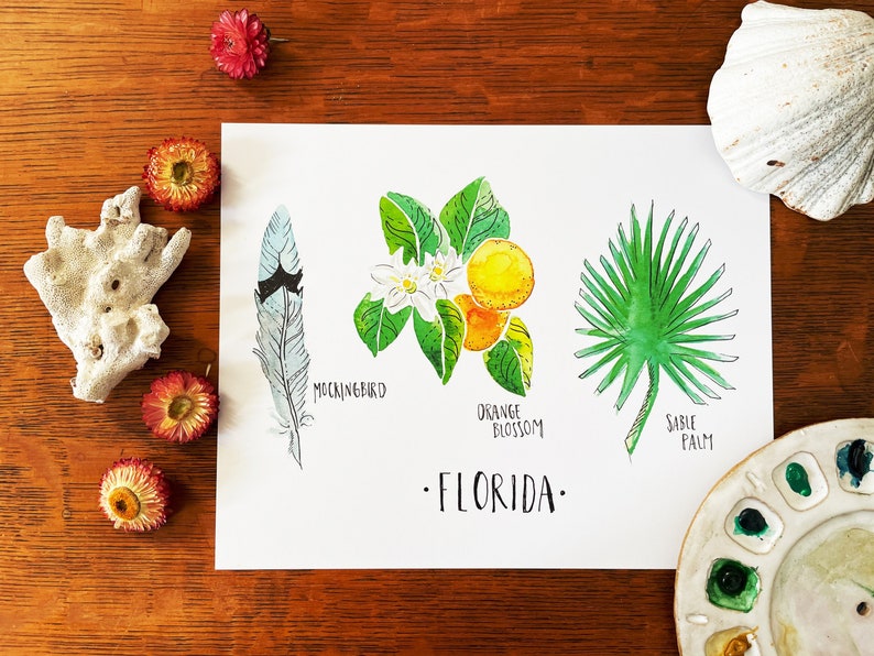 Florida State Tree Flower Bird Art Print Botanical - Etsy
