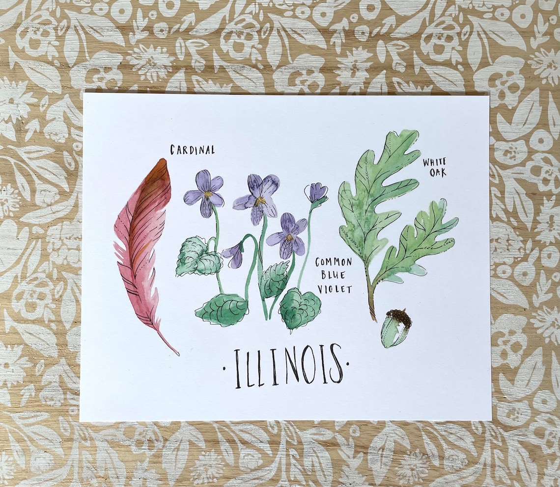 Illinois State Flower State Tree State Bird Watercolor Art Print ...