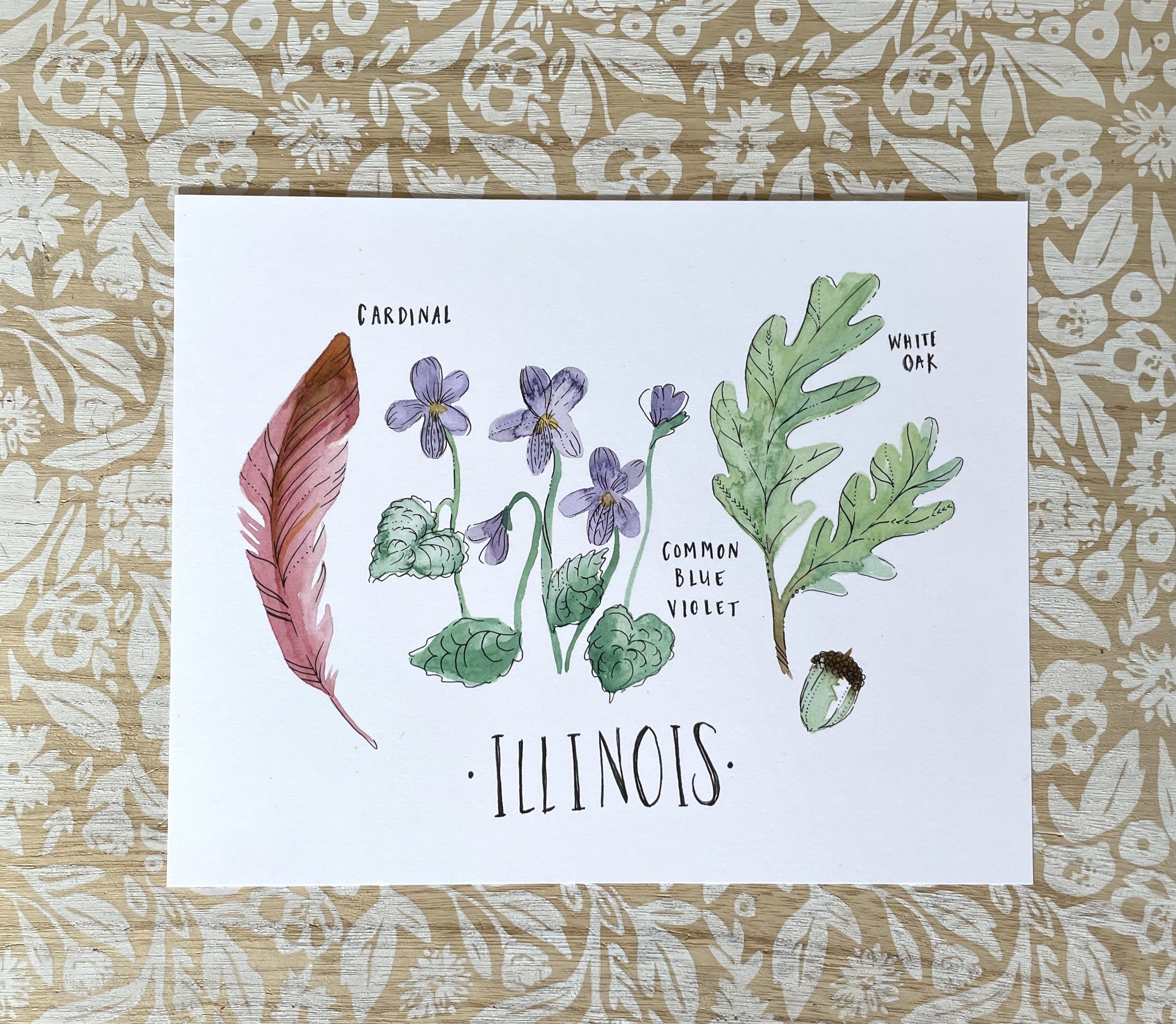 Illinois State Flower State Tree State Bird Watercolor Art Print