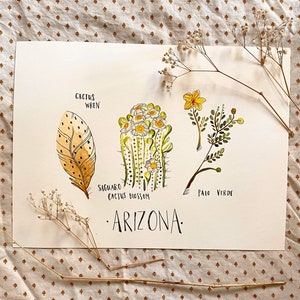 Arizona State Bird State Flower State Tree Art Print 8x10 Watercolor ...