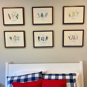 State Flower Art Print All 50 States State Flower State Bird State Tree ...